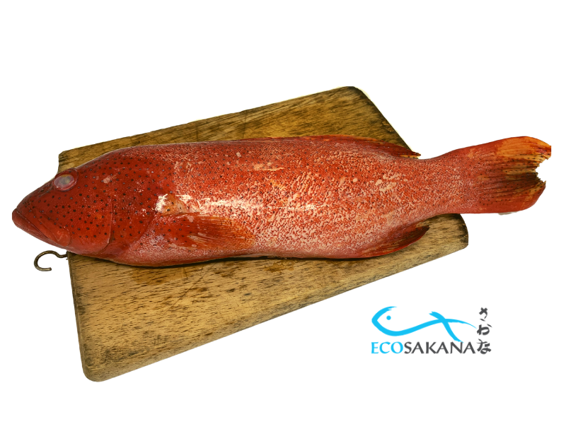 Antibiotic Free, Organic Chicken and Seafood – Mawai Organics